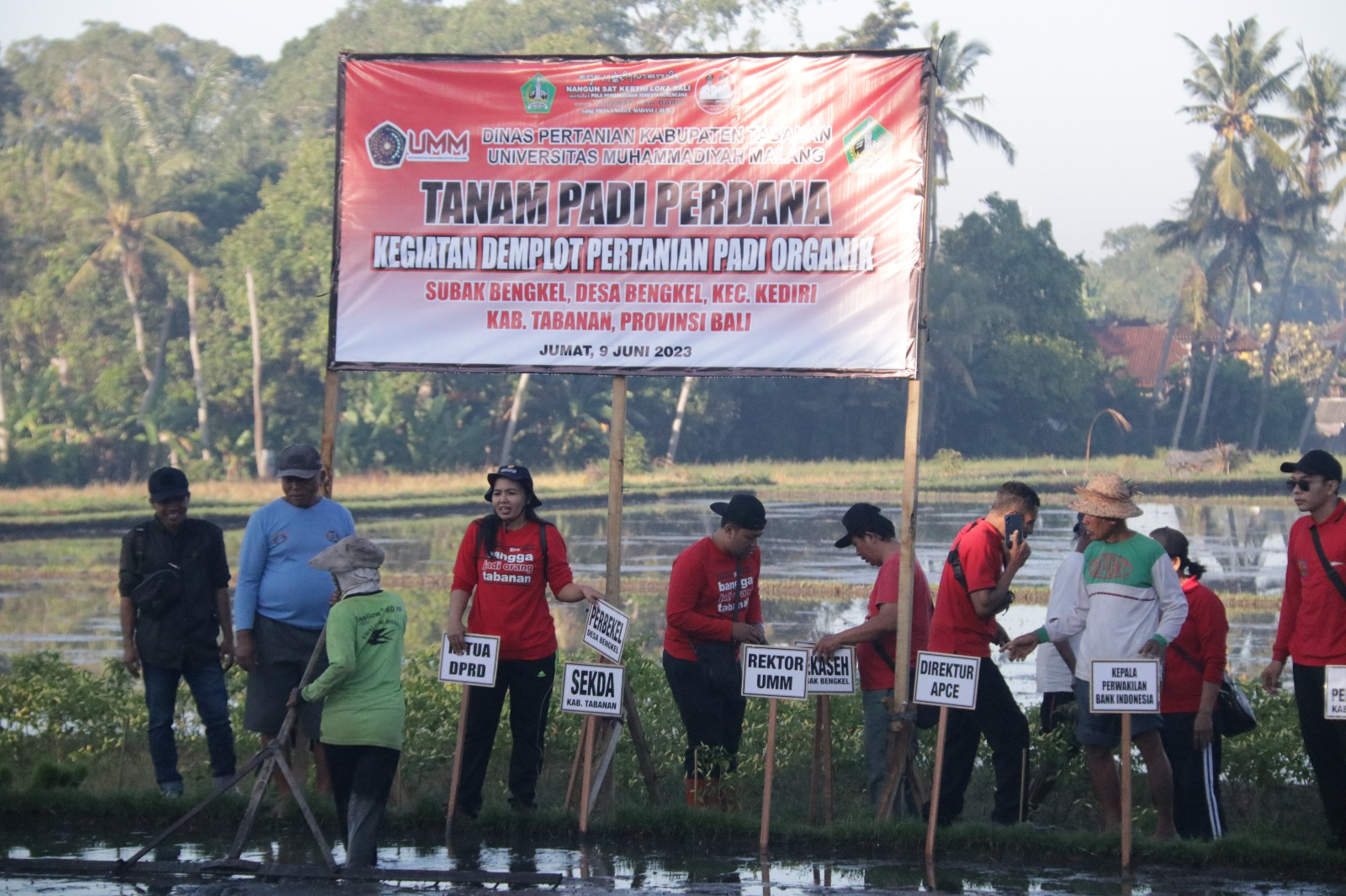 Tanam Perdana Demplot Padi Organik, Wujud Implementasi Kolaborasi ...